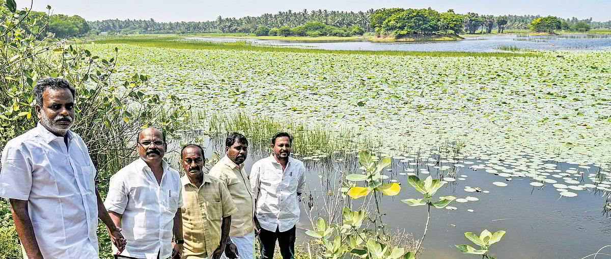 Wings of hope that weathered a storm