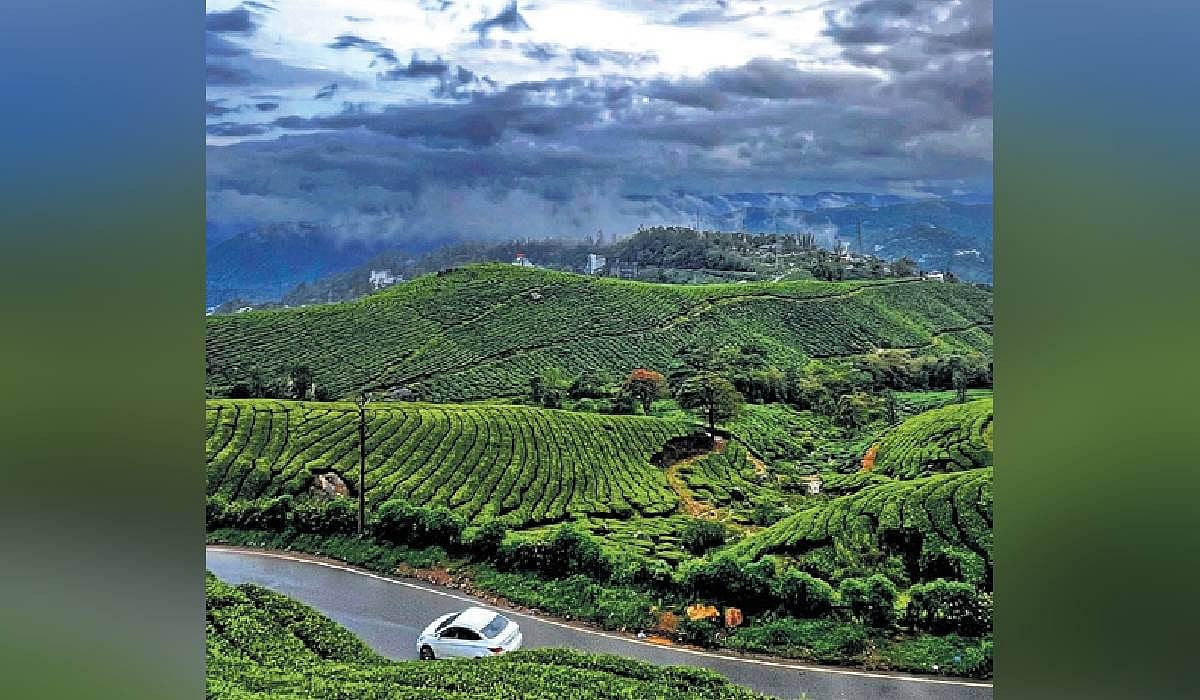 Munnar sees surge in tourism as temperature drops to six degrees