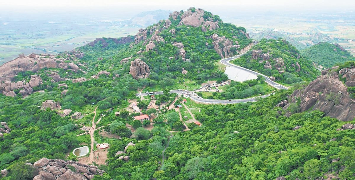 Tourist footfall soars at Kondaveedu Fort & Uppalapadu Bird Sanctuary