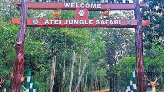 Odisha opens doors to a new jungle safari