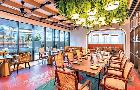 Savouring the Spanish Delight - Autaski.com