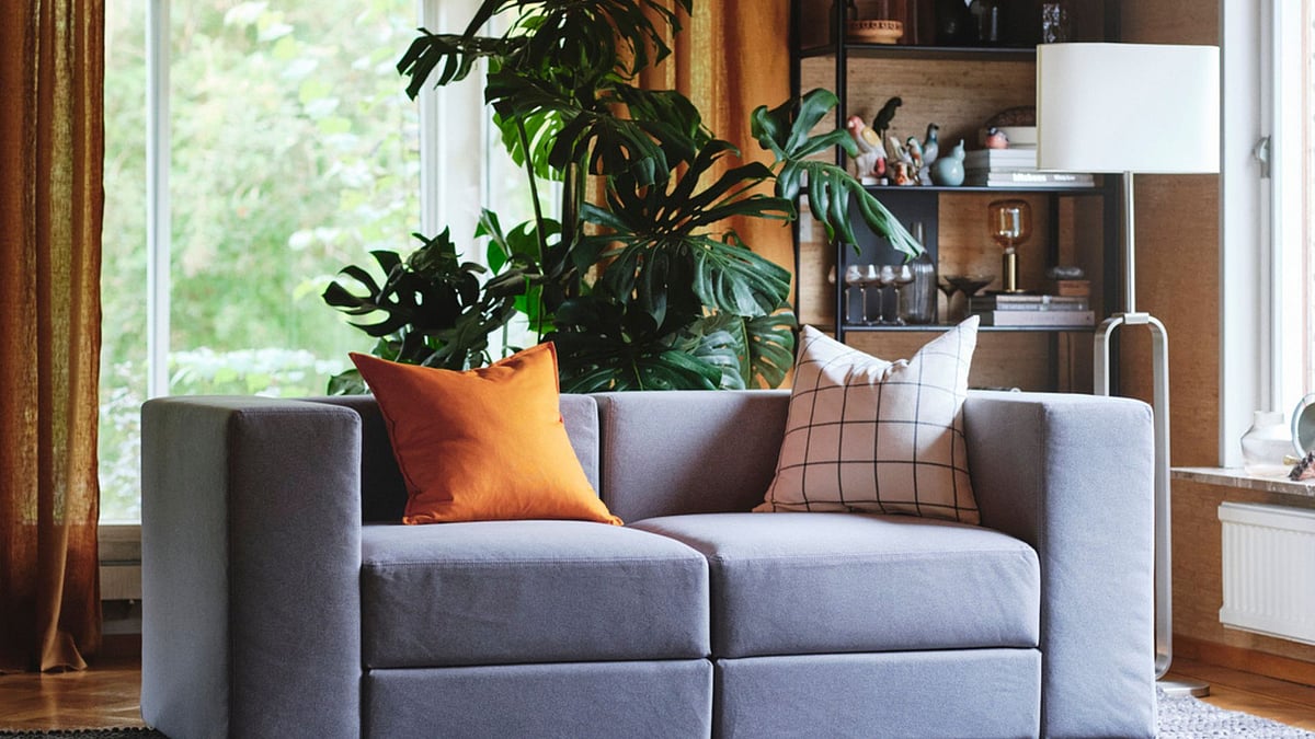 Delhi welcomes IKEA as its new home-setter