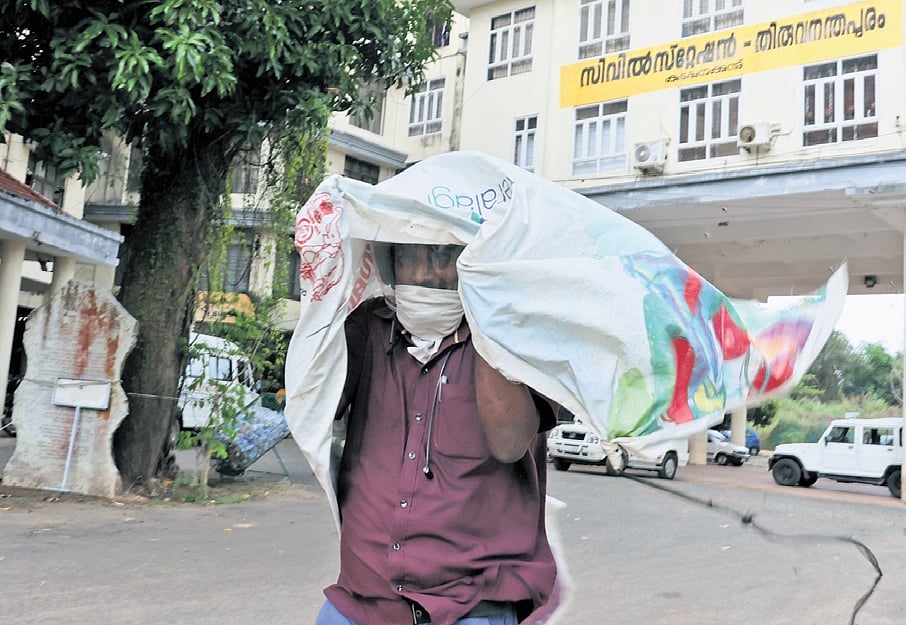 Bee attack chaos at collectorate leaves many injured in Thiruvananthapuram