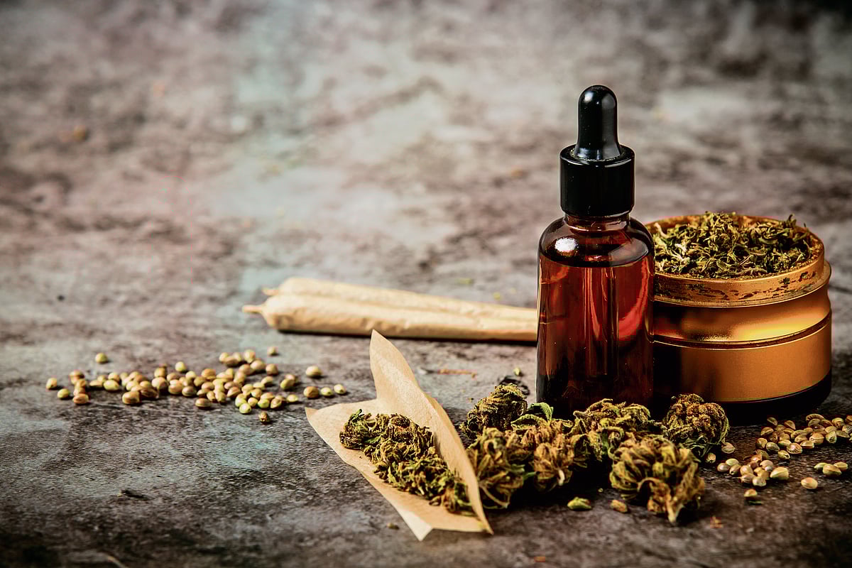 Flashback to an op to capture the ‘cobra’ of south Indian hash oil mafia