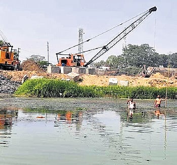 Revival of Odisha's Gobari river on the anvil