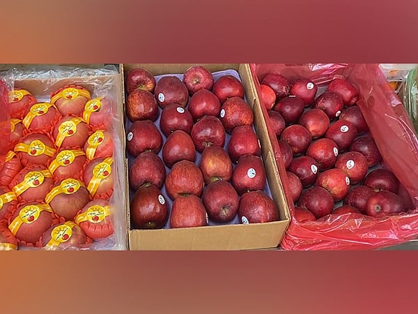 Turkish apples off the shelves in Alwar's fruit markets as traders join ...
