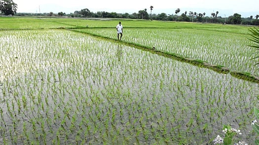 Telangana CM set to launch Indira Soura Giri Jala Vikasam scheme to ...