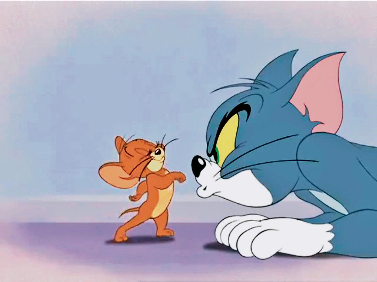 Love Tom And Jerry Dp For Whatsapp Group - Infoupdate.org