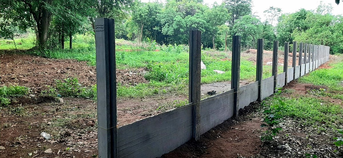 Allocation of public crematorium land to NSS for constructing cremation ...