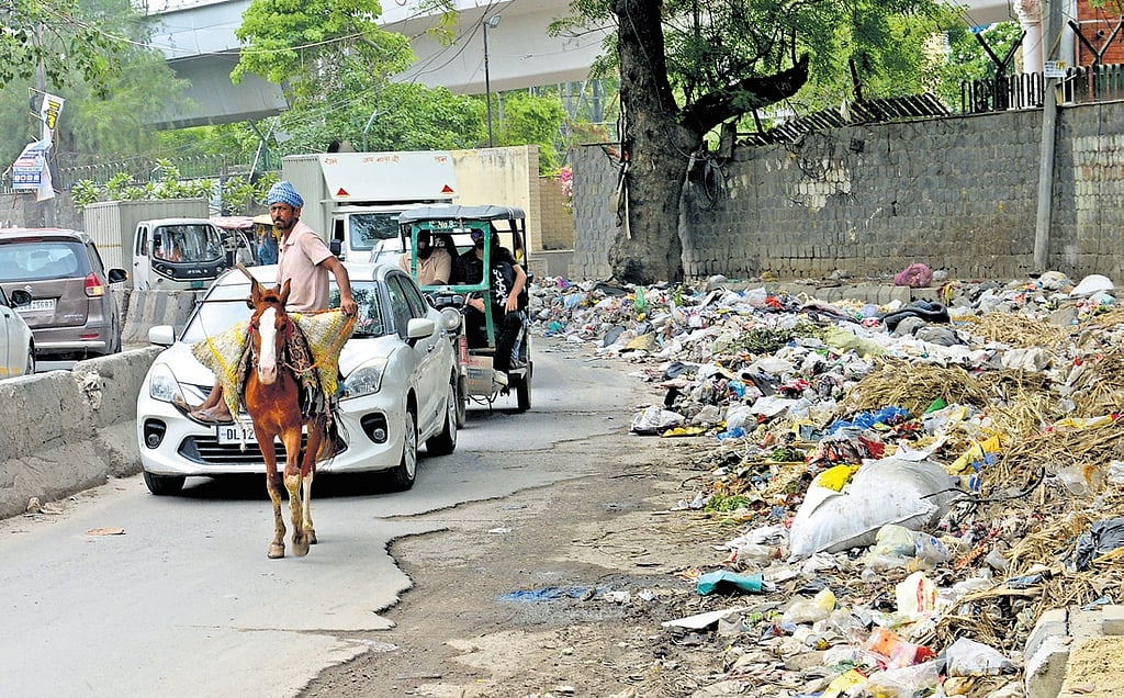 Potholes, garbage piles, continuous civic neglect: The forgotten fringe ...