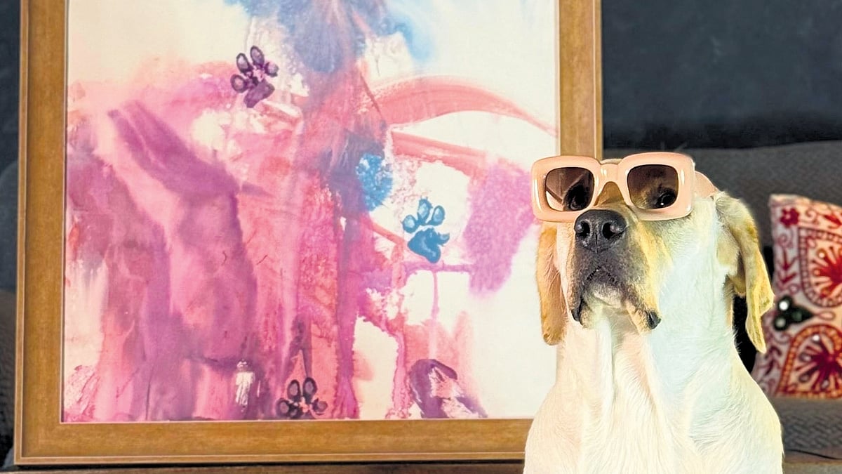 Scarlett johansson titfuck send a message to Jamie she