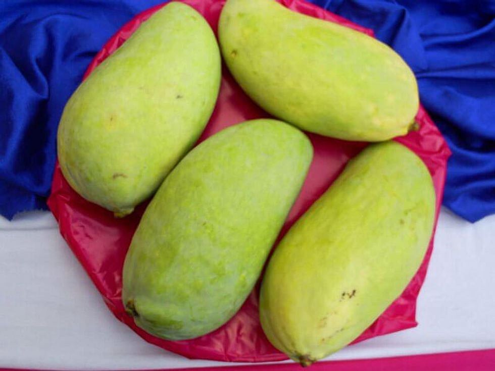 Top 12 Most Famous Varieties Of Indian Mangoes