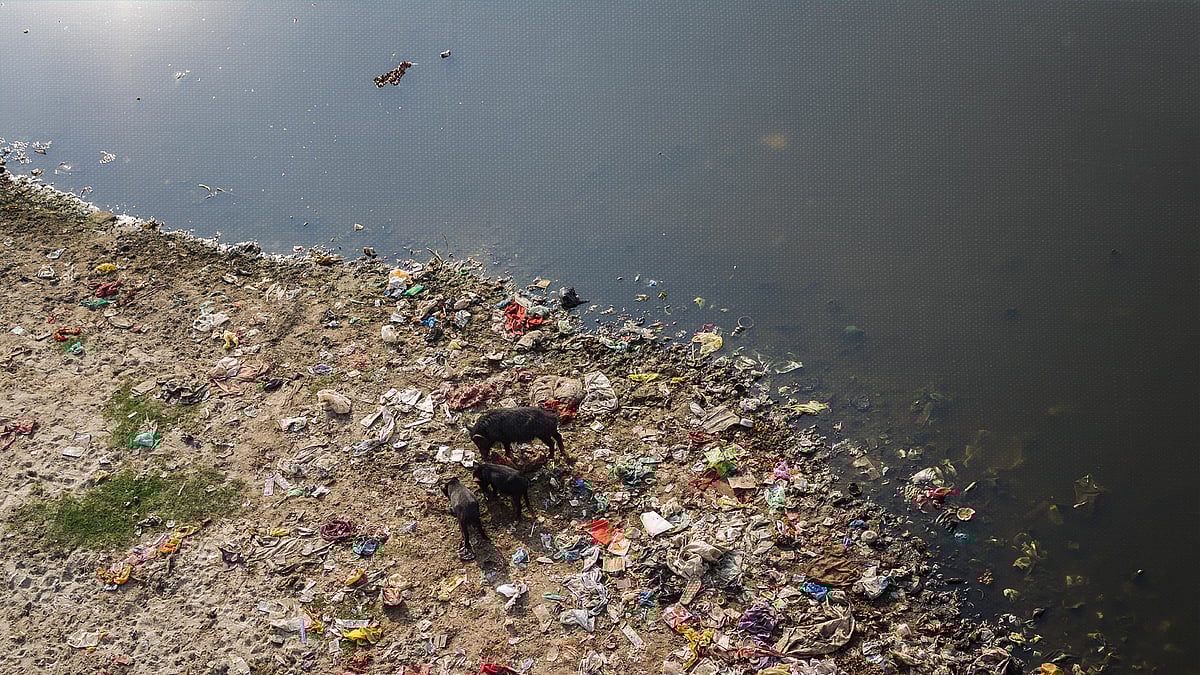 Microplastic in water bodies is emerging as new challenge for humans ...