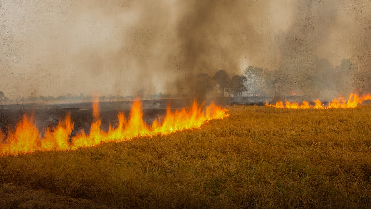 agriculture Stubble Burning solutions farming government