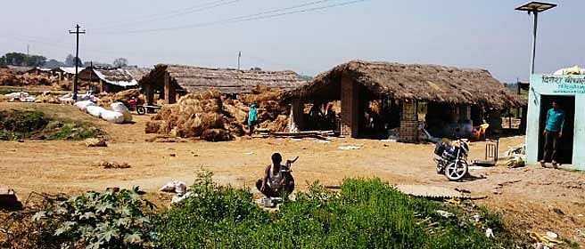 Farmed Land Drops Over 25 Years, So Does Food Per Person