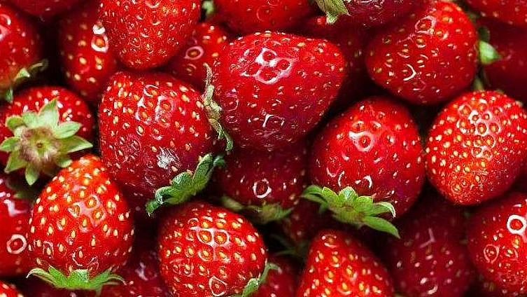 ஸ்ட்ராபெர்ரி சாப்பிட்டவர்களுக்கு ஹெபாடிடிஸ் நோயா? சுகாதார நிறுவனம் ...