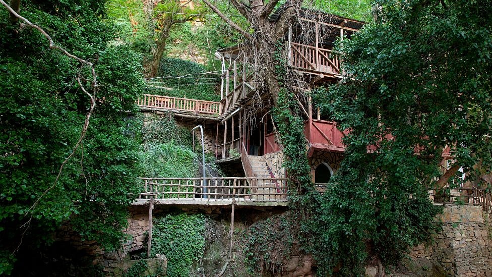Tree house: குளிர் காலத்தில் நீங்கள் நிச்சயம் போக வேண்டிய இந்தியாவின் ...