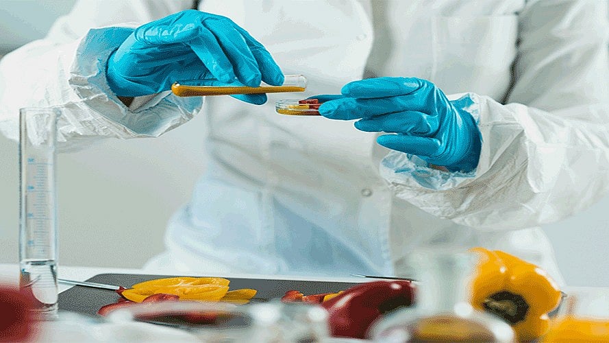 Food Ministry to open advanced chemical testing lab – Outlook Business