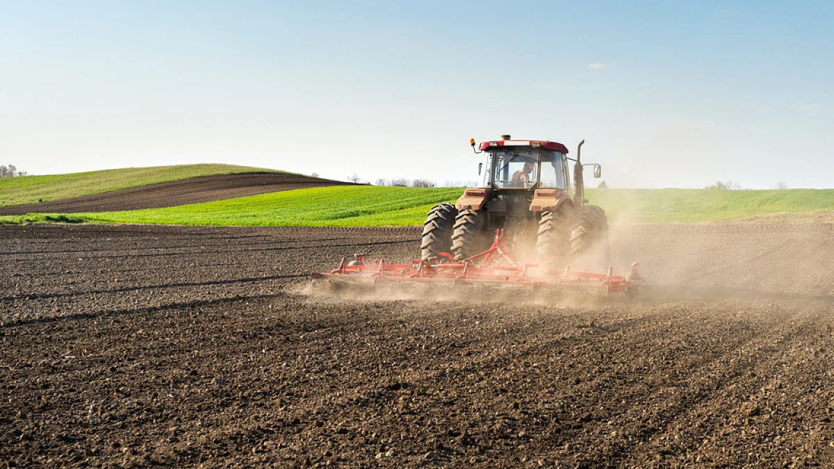 Centre Okays 1.39 Lakh Tonne Of Chana Procurement From Karnataka Under PSS Centre Okays 1.39 Lakh Tonne Of Chana Procurement From Karnataka Under PSS