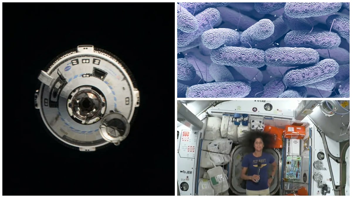 Multi-Drug Resistant 'Superbug' On Space Station Sparks Health Concerns ...