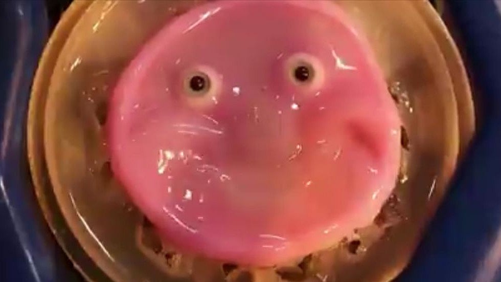 Watch: World’s First Smiling Robot Face Made Of Human Cells | Outlook India