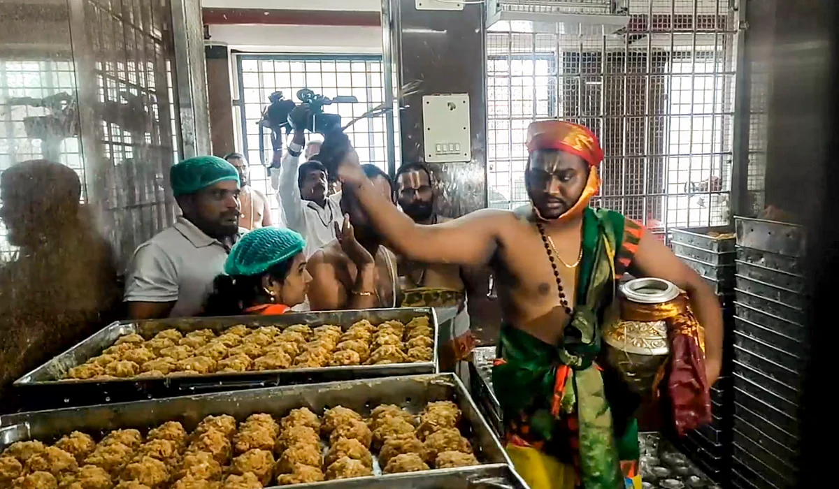 Tirupati Laddu Row Ttd Carries Out Purification Ritual At Temple Tobacco In Prasadam Claims