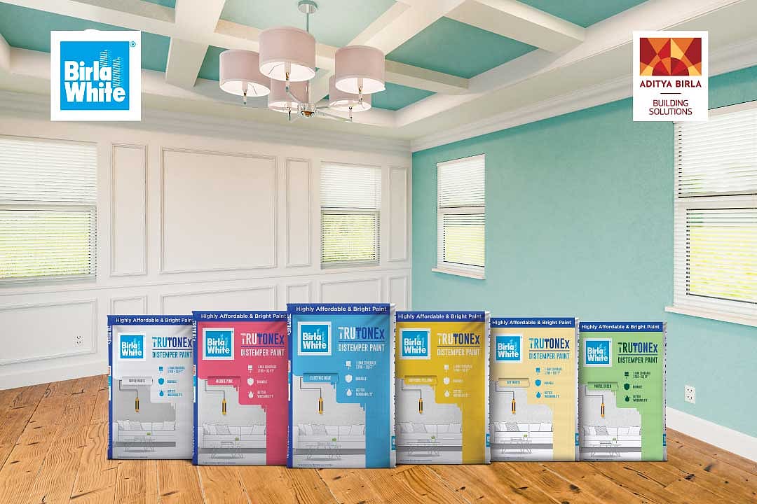 What Is Distemper? Everything You Need To Know About This Popular Wall ...