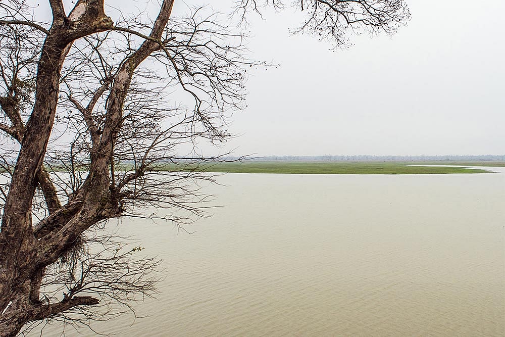 A Tragedy Brought By Raag Lalit | Outlook India