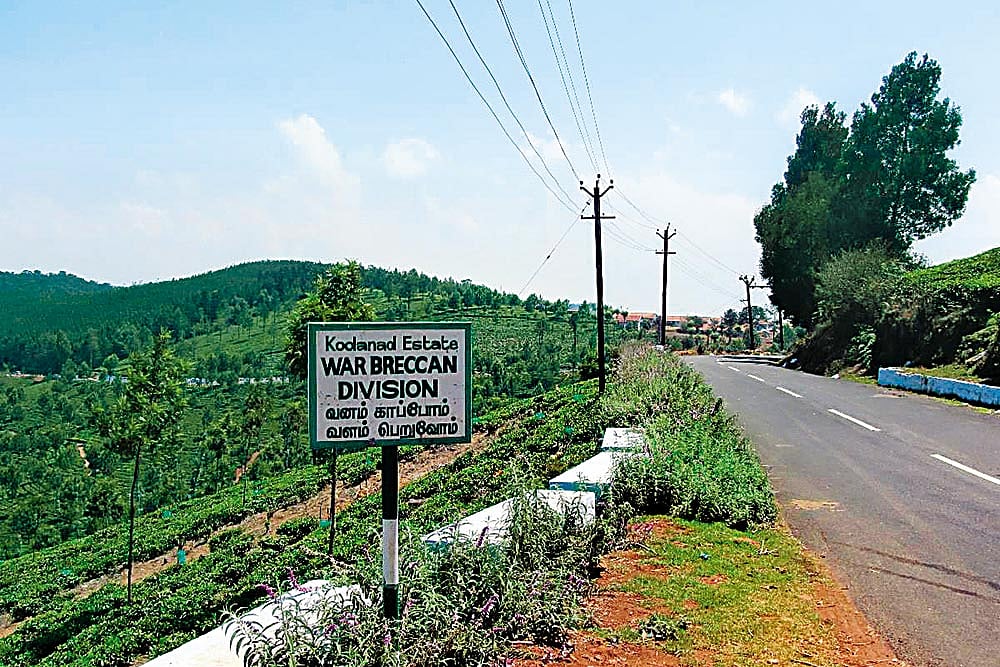 jayalalithaa kodanad estate