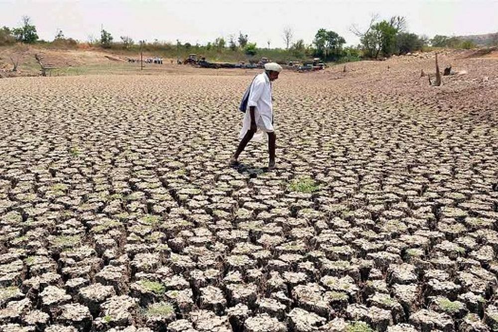 Bihar Government Declares 206 Blocks Of 23 Districts As Drought-Hit ...