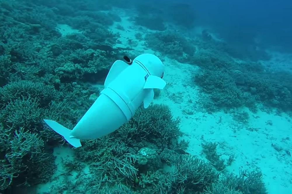 MIT Scientists Develop Soft Robotic Fish SoFi That Can Swim Alongside ...