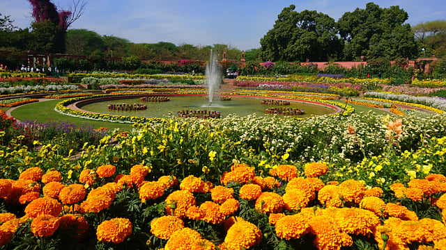 Mughal Garden Delhi Built By | Fasci Garden