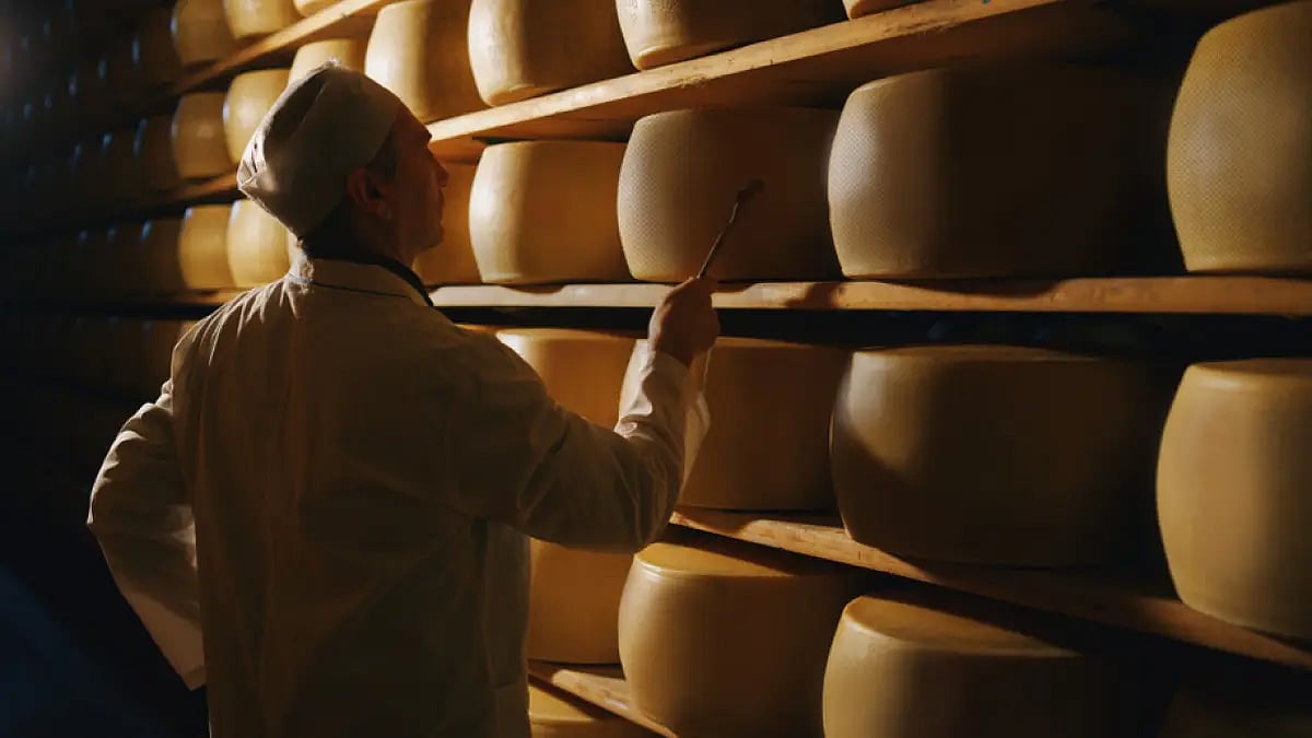 The Most Expensive Cheese In The World | Outlook India