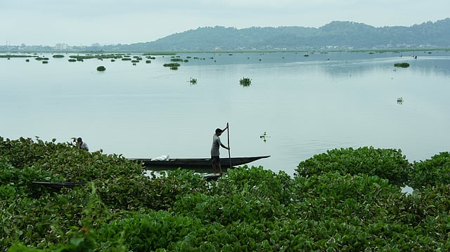 All About Assam's Only Ramsar Site, Deepor Beel