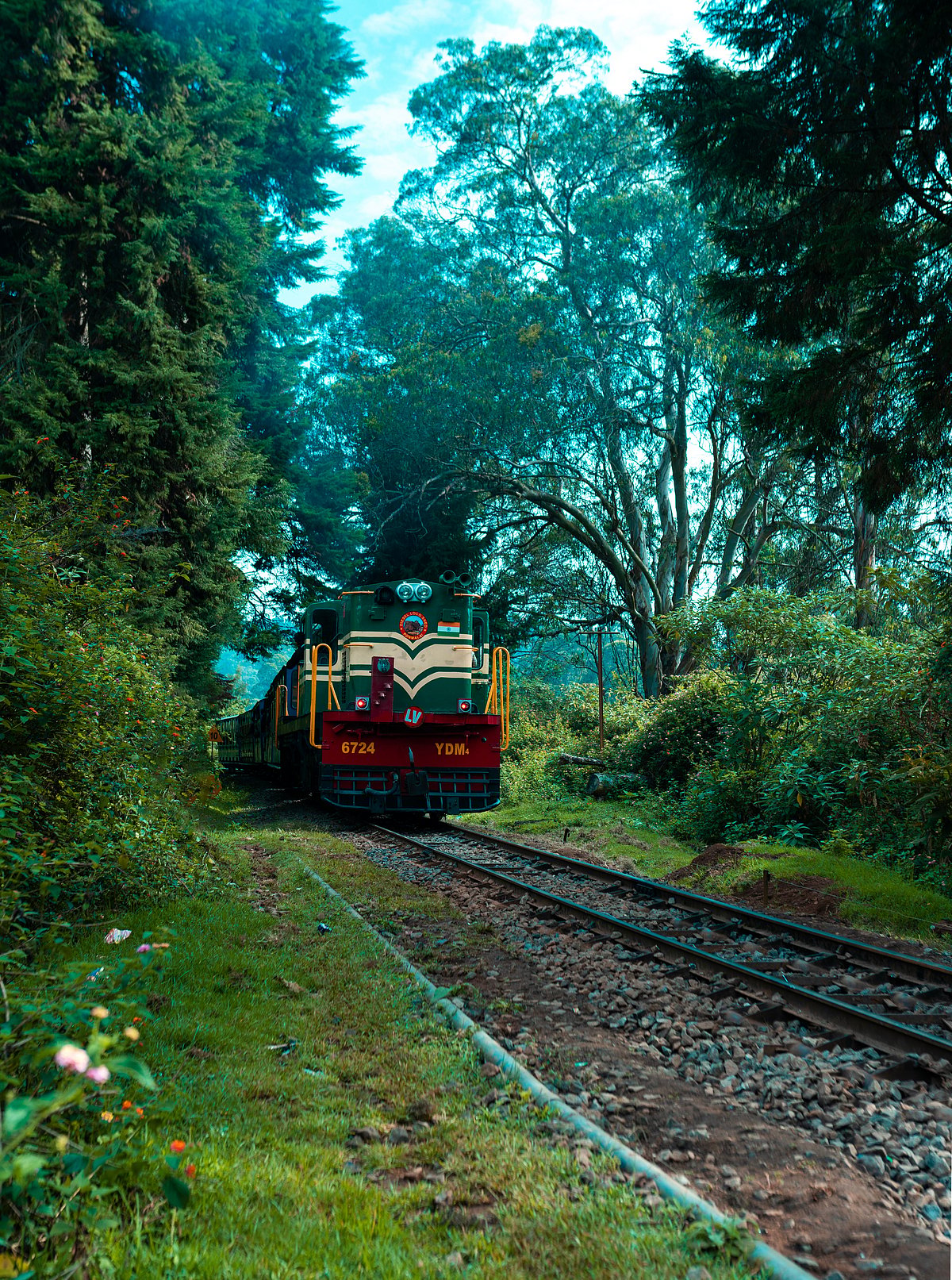 In Pictures: All You Need To Know About The Iconic Ooty Toy Train