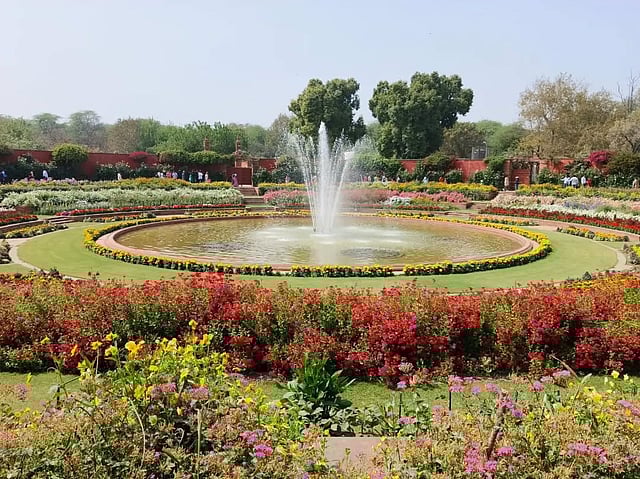 Delhi's Amrit Udyan, Now Known As Amrit Udyan, Open For Public Viewing ...