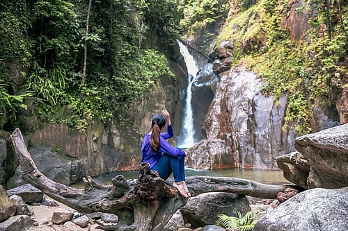 5 Things To Do In Malaysia For Wildlife Enthusiasts