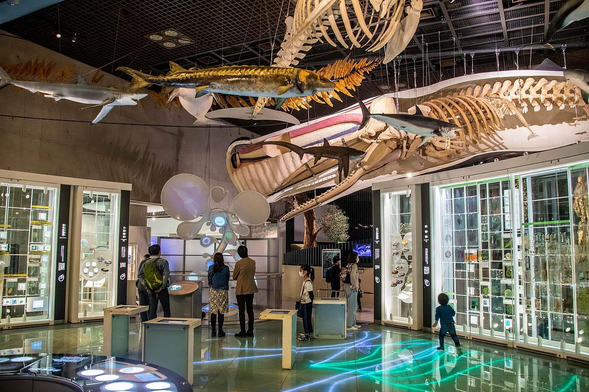 International Museum Day: 7 Famous Museums In The World