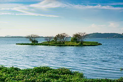 All About Assam's Only Ramsar Site, Deepor Beel