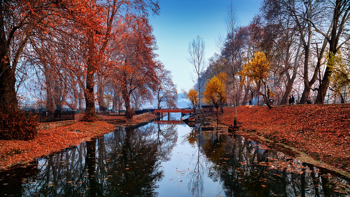 5 Places In Srinagar You Should Visit This Autumn