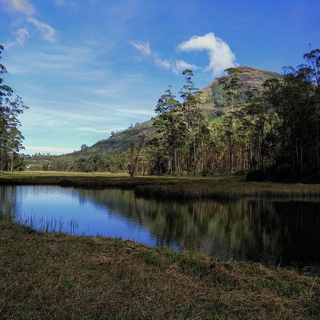 A Complete Guide To Devikulam Hills In Kerala