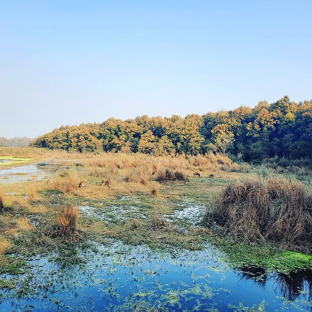 All About Chuka Beach, Uttar Pradesh's Unsung Tourist Destination