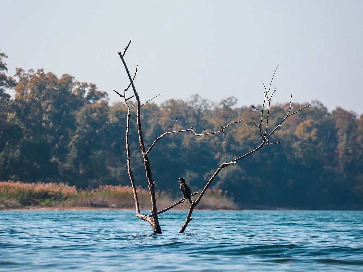 All About Chuka Beach, Uttar Pradesh's Unsung Tourist Destination