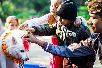 Nepal's Kukur Tihar: Celebrating Our Four-Legged Friends On Diwali