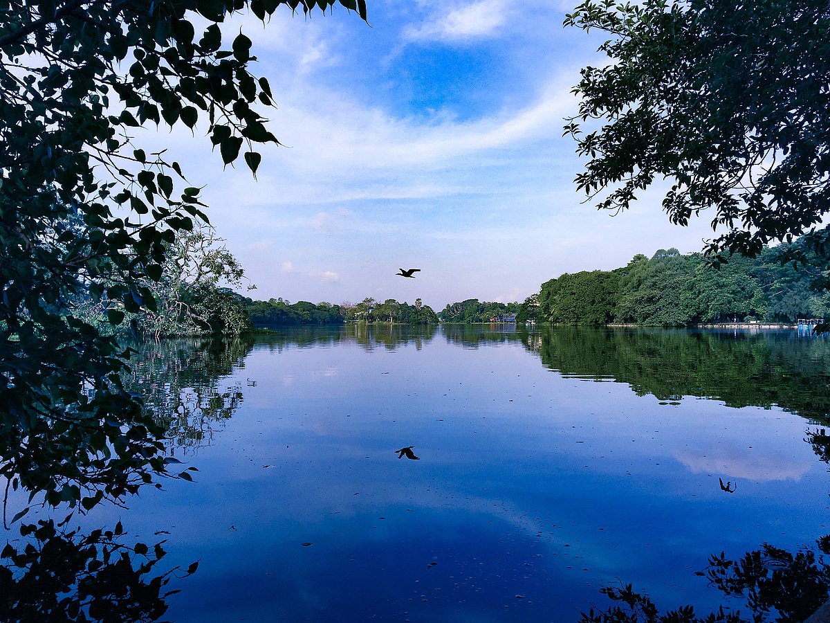 Best Birdwatching Spots In And Around Kolkata