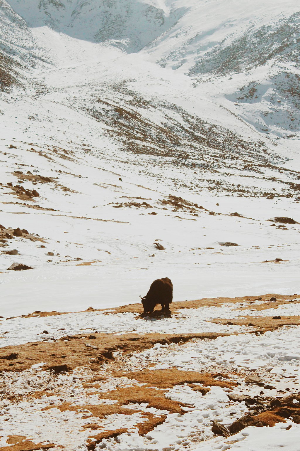 Winter Magic: Places In India To Witness Snowfall In December