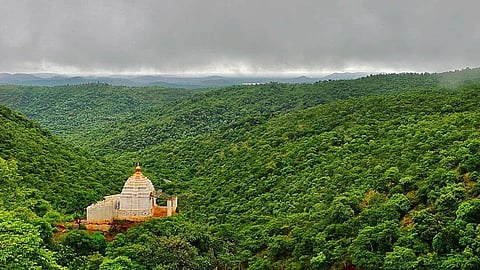 Explore All You Need To Know About Kappatagudda