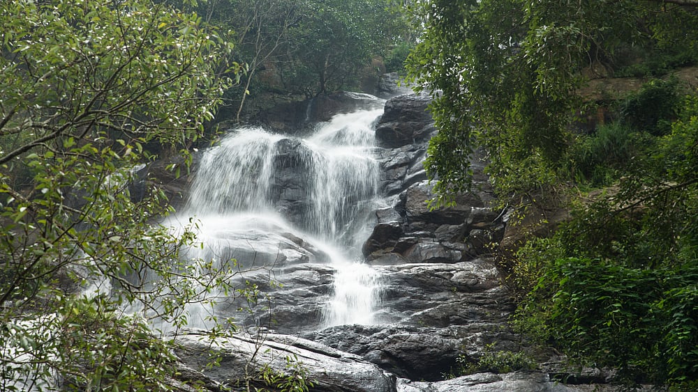 Top 5 Attractions In Yercaud: What To See In This Scenic Tamil Nadu ...