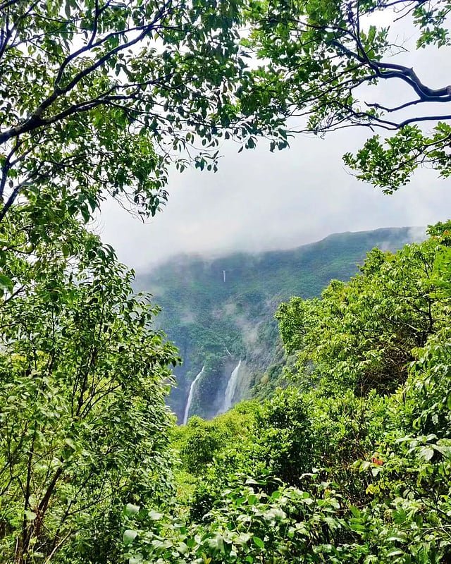 Unmissable Jungle Retreats In India: Part I