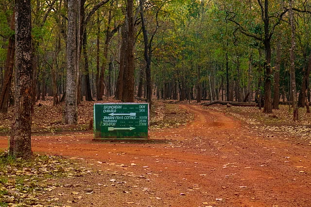 8 Must-Visit Biosphere Reserves In India For Wildlife Enthusiasts